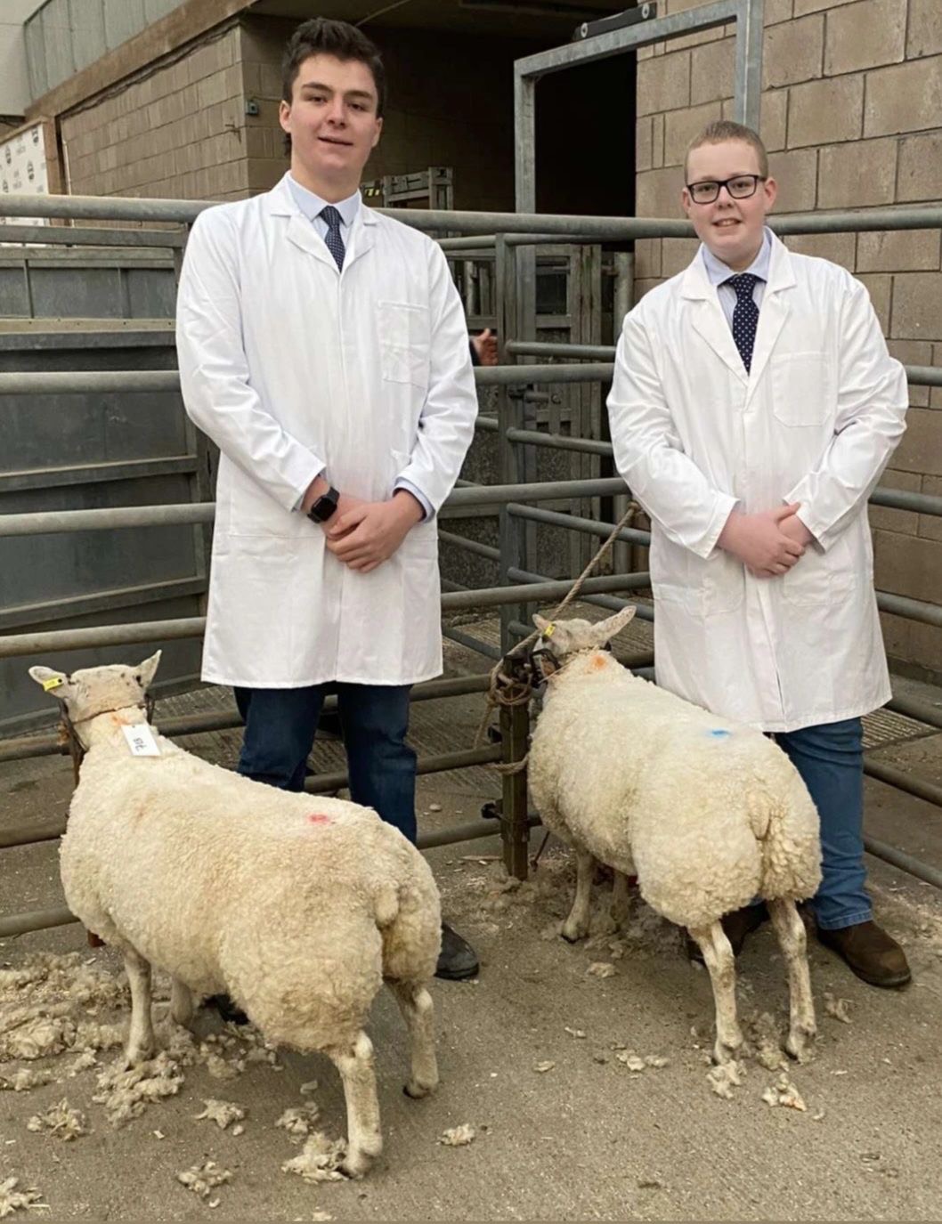 New Members Spotlight! Danny Potter, Bathgate JAC - Scottish ...