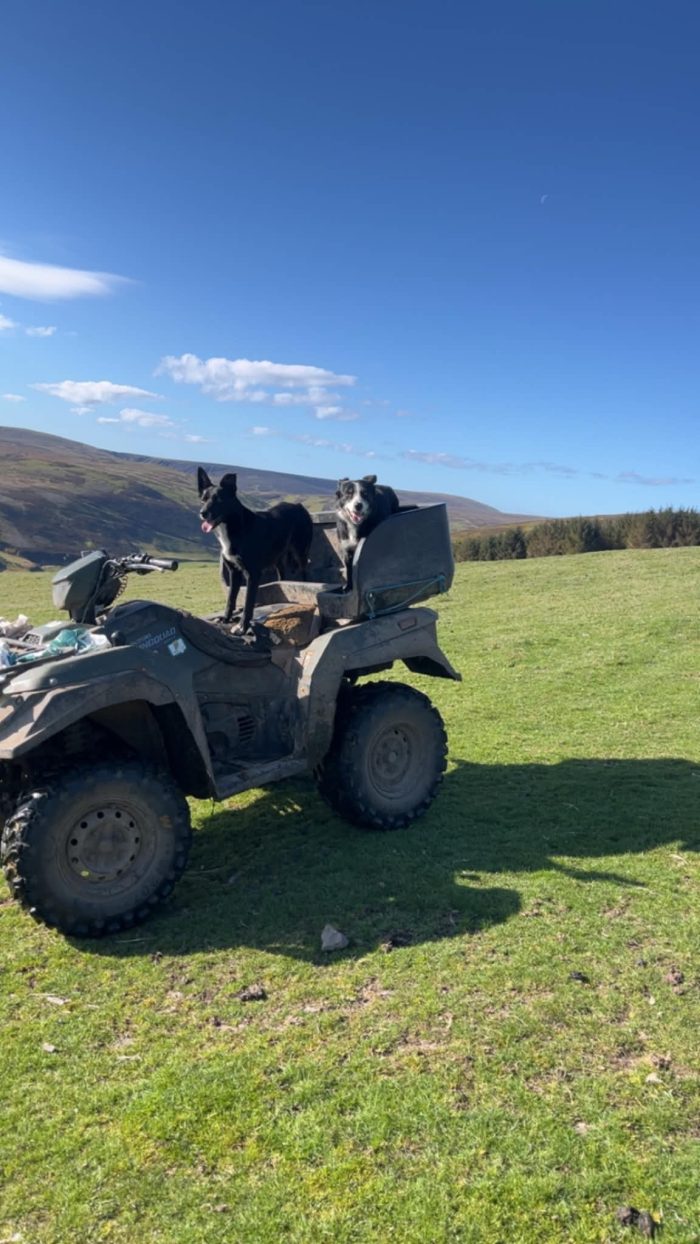 Young Farmers Ready for Sheepdog Final - Scottish Association of Young ...