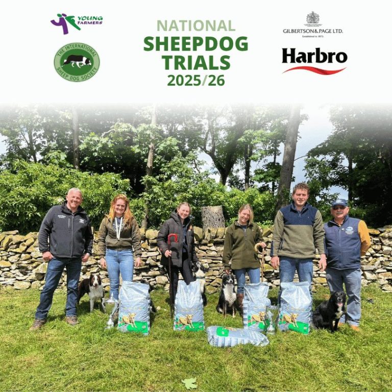 SAYFC Sheepdog Trialists Win Big at NSA Scotsheep - Scottish ...